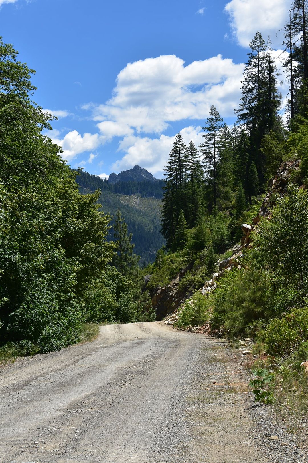 About – Wild Escape Guides